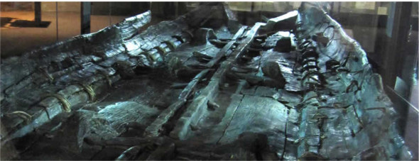 Book : The Contact Patch